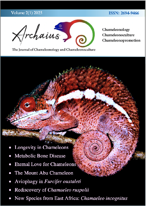 Archaius 2 (1) 2025
